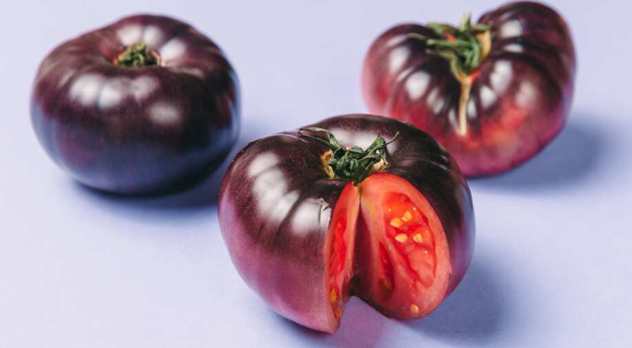 Researchers develop genetically modified purple tomatoes with anti ...
