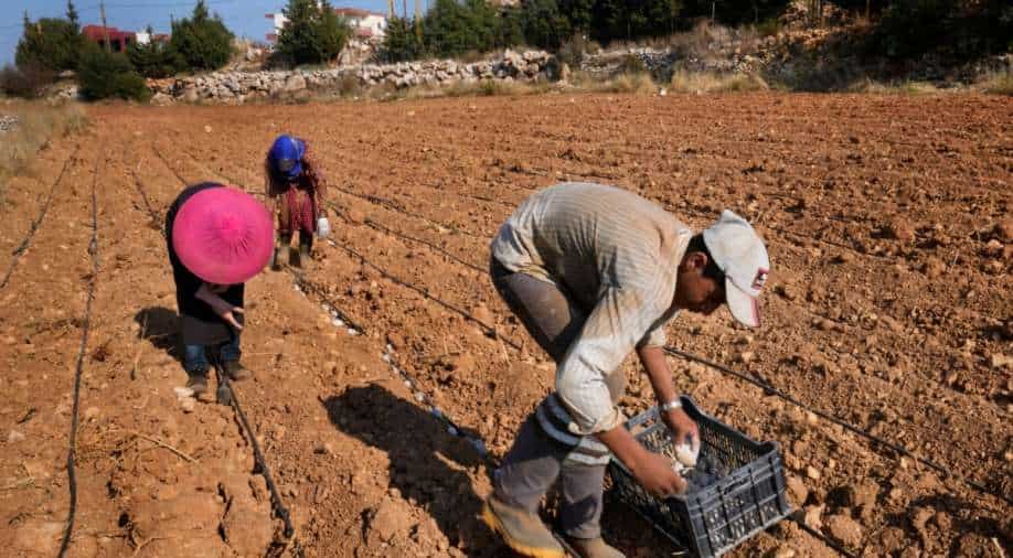 WION Climate Change | Lebanon: Farming communities struggle to keep ...