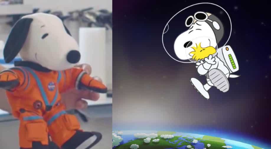 Snoopy is going to space again! NASA shares BTS video of beagle's new ...