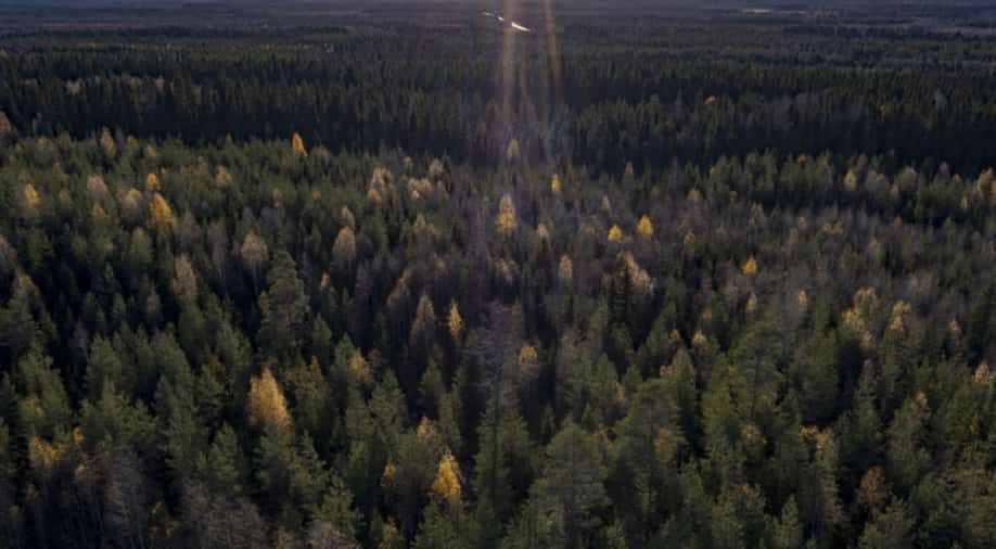Global warming slowly devastating Boreal forest a.k.a. Earth's second ...