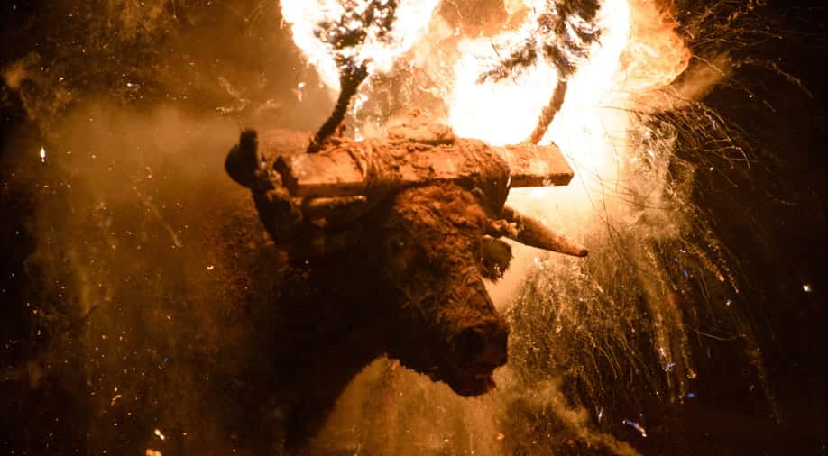 Explainer | 'Toro Jubilo' a fiesta or a grotesque tradition from the ...