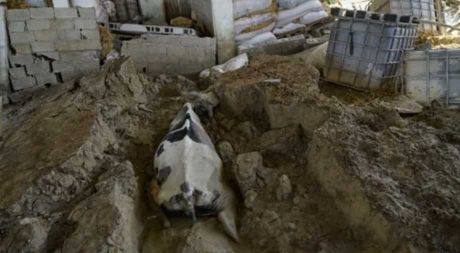 In pics | Earthquake in Turkey splits this village in two. Here’s what ...