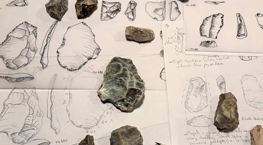 Oldest-ever? Flint tools found in Poland cave could be 500,000 years ...