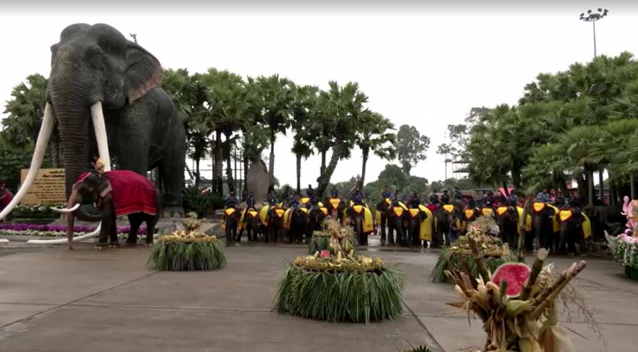 In Pics | Thailand celebrates National Elephant Day honours them as ...
