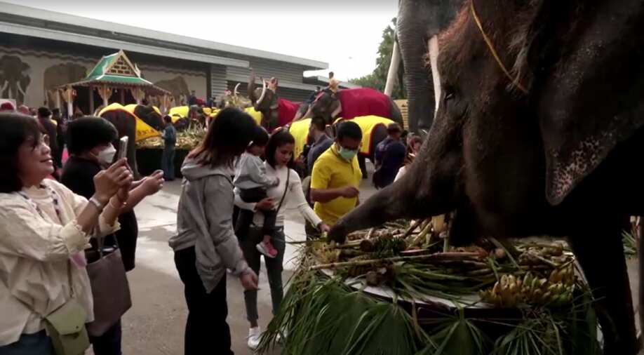 In Pics | Thailand celebrates National Elephant Day honours them as ...
