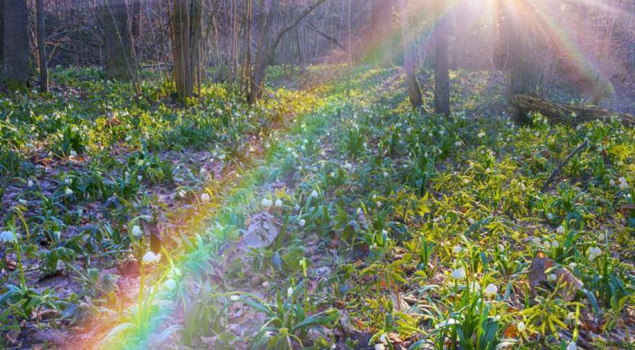 Spring equinox 2023: What is spring equinox & when will it occur? Here ...