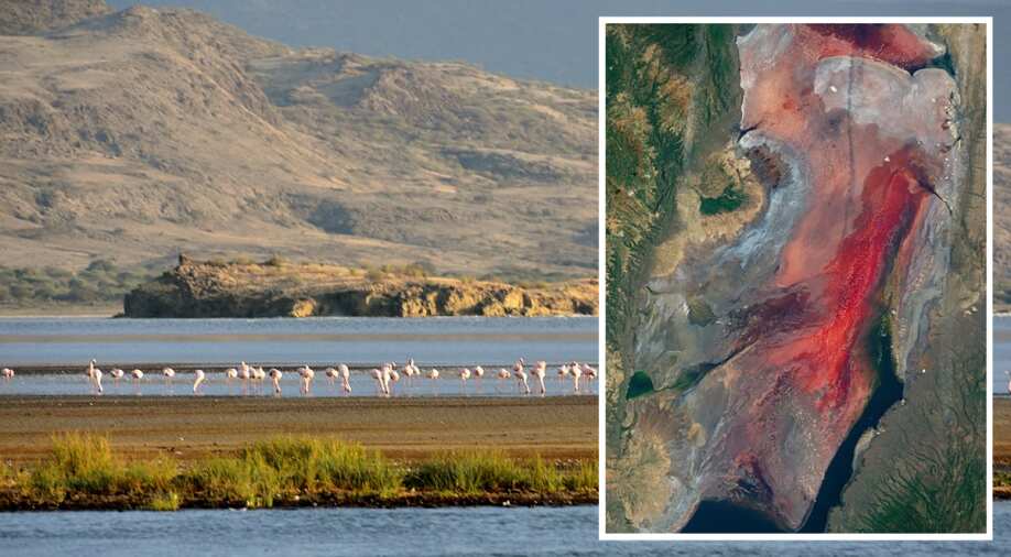 Does Lake Natron lake really turn animals into 'stone'? What's the ...