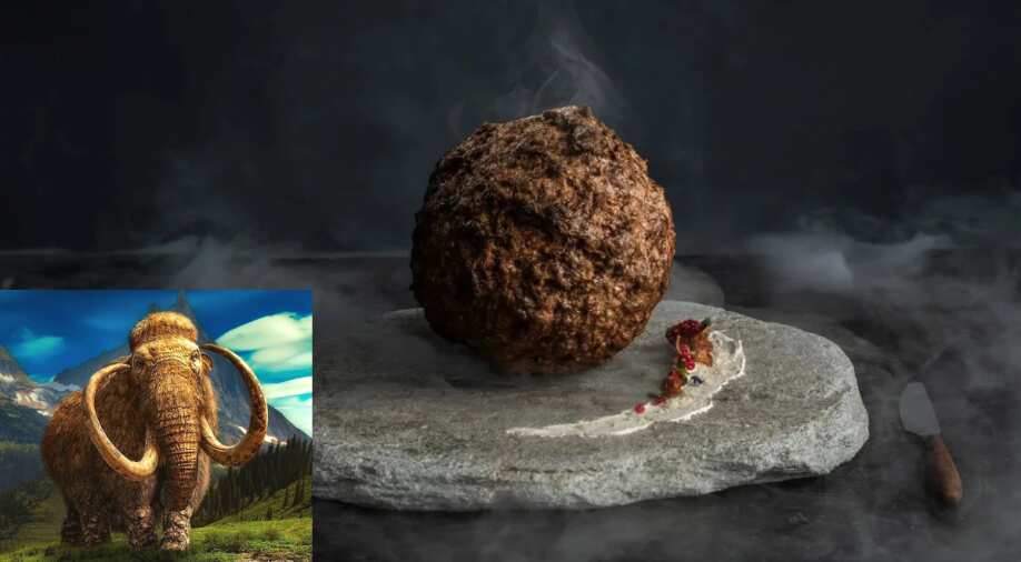 Back to Ice Age? Meat taste of extinct mammoth brought back without ...