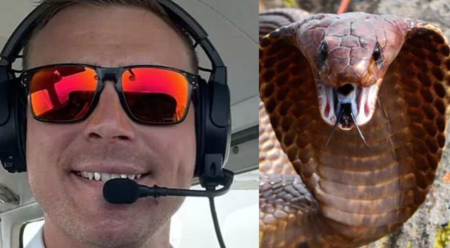 Snake scare! Pilot finds deadly cobra in cockpit, makes emergency ...