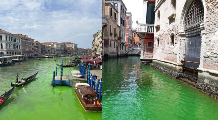 Mysterious! Parts of Venice canal turn fluorescent green, locals ...