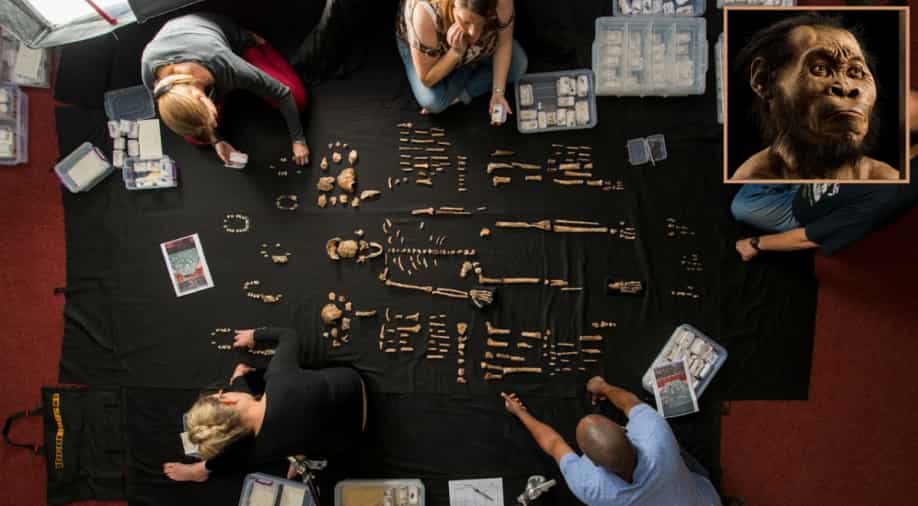 Furor in scientific community over claims that small-brained early ...