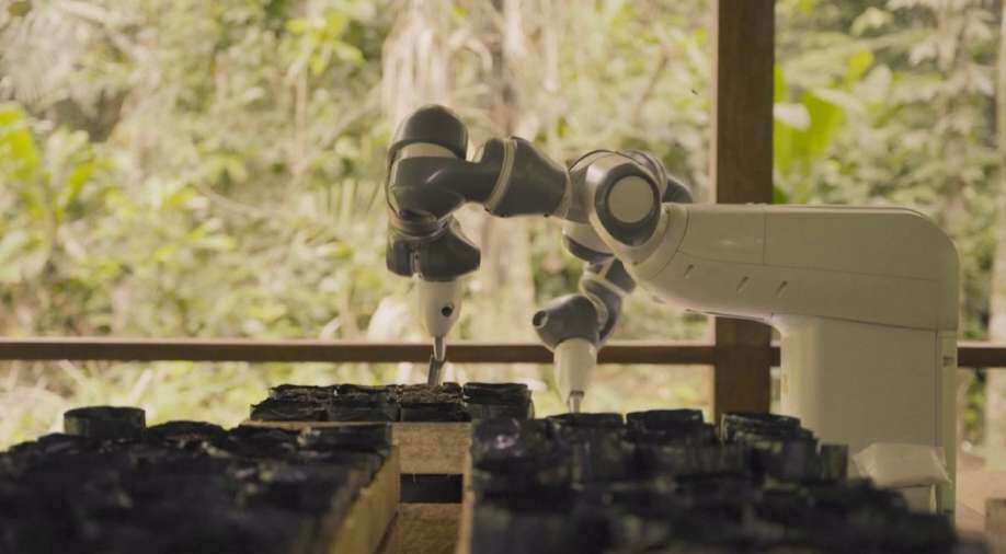In Pics | Solar-powered robot to help Amazon rainforest - World News