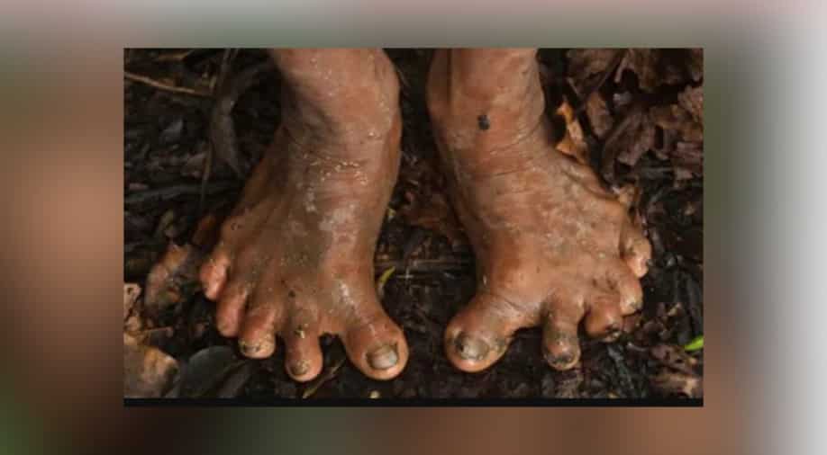 Life and culture of Huaorani tribe - an Indigenous community in the ...