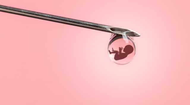 Explained | Lab-grown human embryos: Ethical conundrums and emerging ...