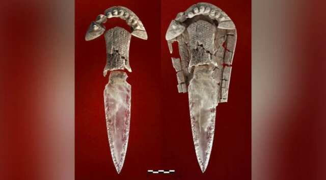 5,000-year-old skeleton is of 'Ivory Lady' & not 'Ivory Man', Spanish ...