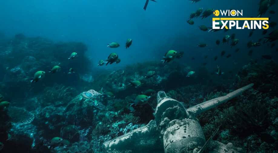 Explained: How deep-sea mining & demand for green technologies threaten ...