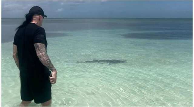WWE legend The Undertaker saves wife from potential shark attack, video ...