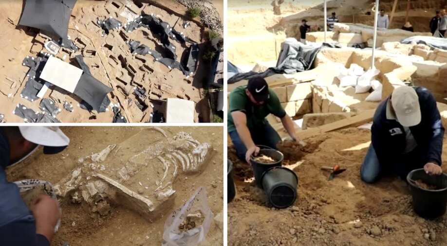 Over 100 tombs discovered at 2,000-year-old Roman cemetery in Gaza ...