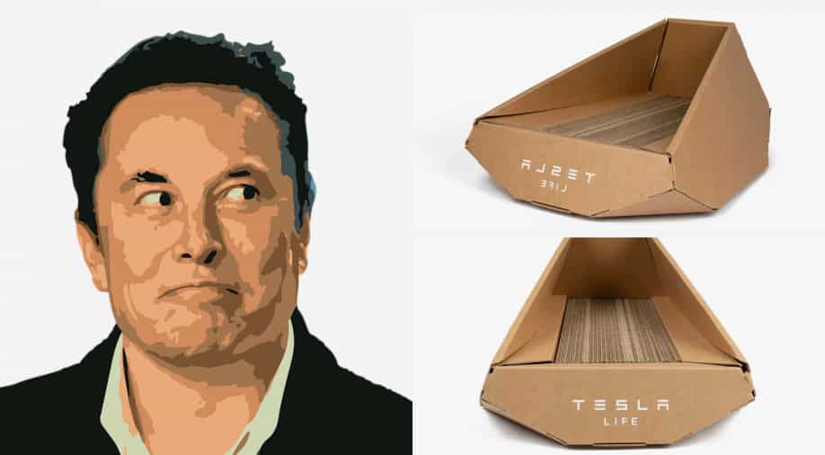 Tesla's 'purr'fect twist: Musk's company rolls out cardboard ...