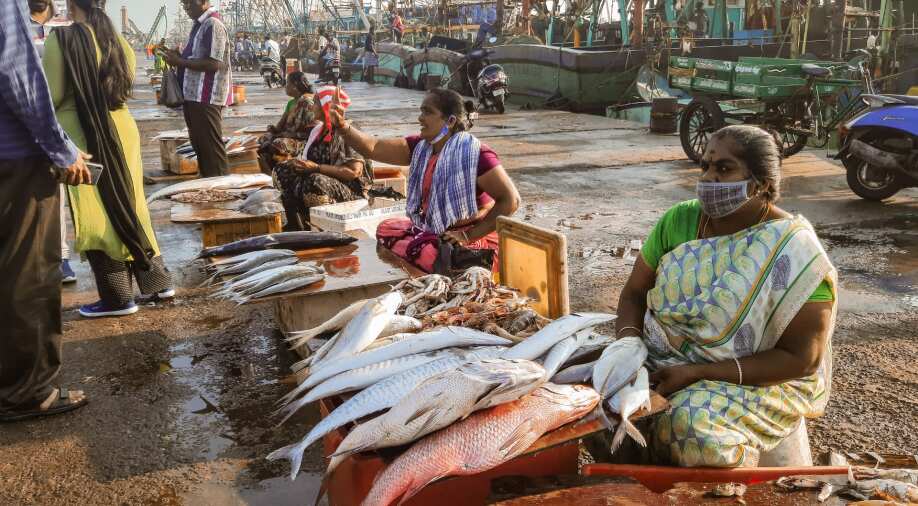 Inside India's Kasimedu fishing harbour, where women are the true ...