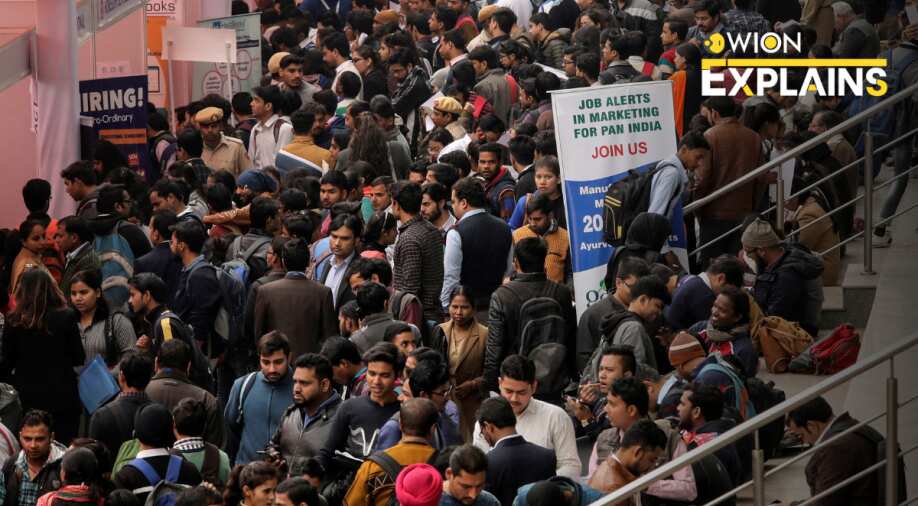 Decoding India's Employability: Unlocking the potential of India's ...