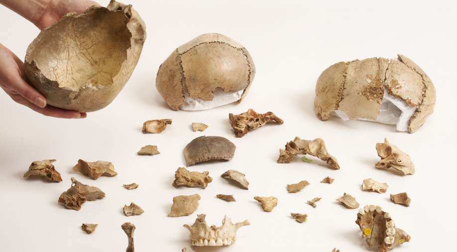 Europeans would eat, not bury, their dead 15,000 years ago: Study ...