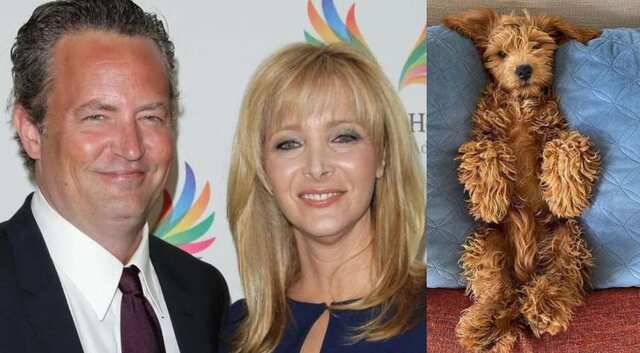 Lisa Kudrow isn't adopting Matthew Perry's dog Alfred after actor's ...