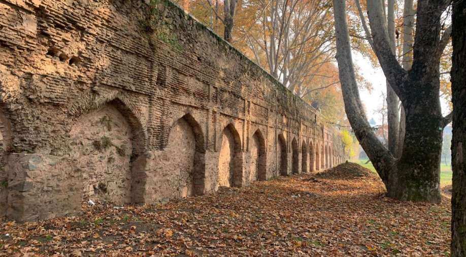 In pics | Tourists flock to Kashmir as Chinar leaves turn red - India ...