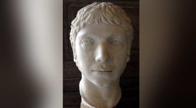 UK museum rebrands Roman emperor as transgender person with he/him ...