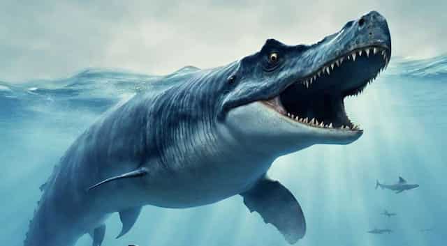 A giant blue dragon mosasaur roamed the Pacific waters 72 million years ...
