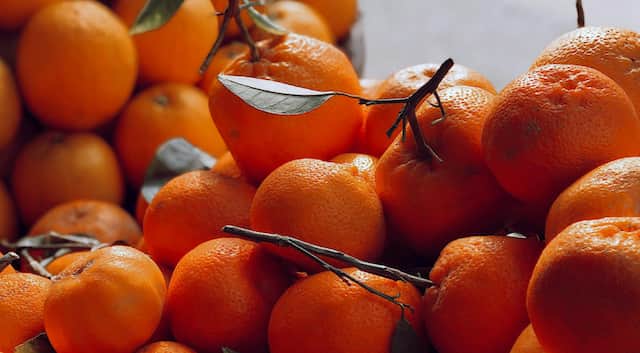 Why do oranges taste the way they do? Researchers have finally broken it down - Science News