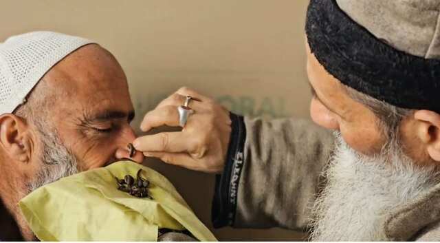 Ancient Egyptian leech therapy still popular in Kashmir Valley, demand ...