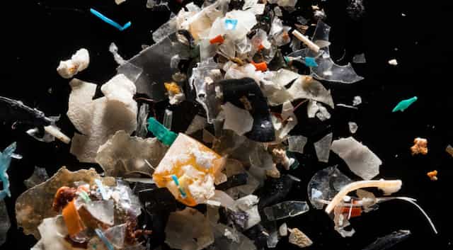 Scientists baffled after discovery of microplastics in human testicles ...